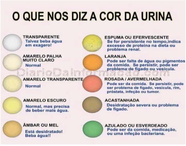 Espaço do Raio Xis: O que nos diz a cor da urina.