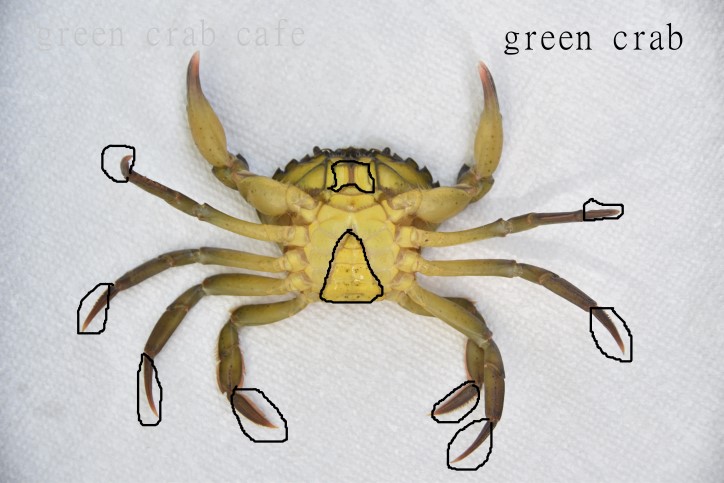 Green Crab Cafe: How to Prepare Hard-Shell Green Crabs