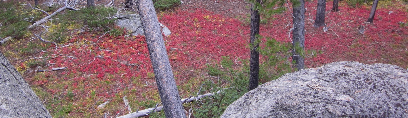 EcoRover: SkyWatchFriday: Rocky Mtn Autumn, Butte Scenes