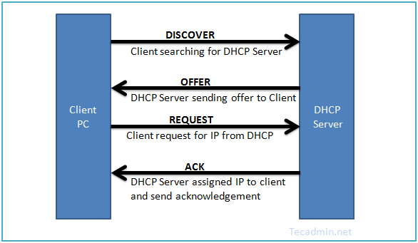Link 4 Secure Network Dynamic Host Configuration Protocol
