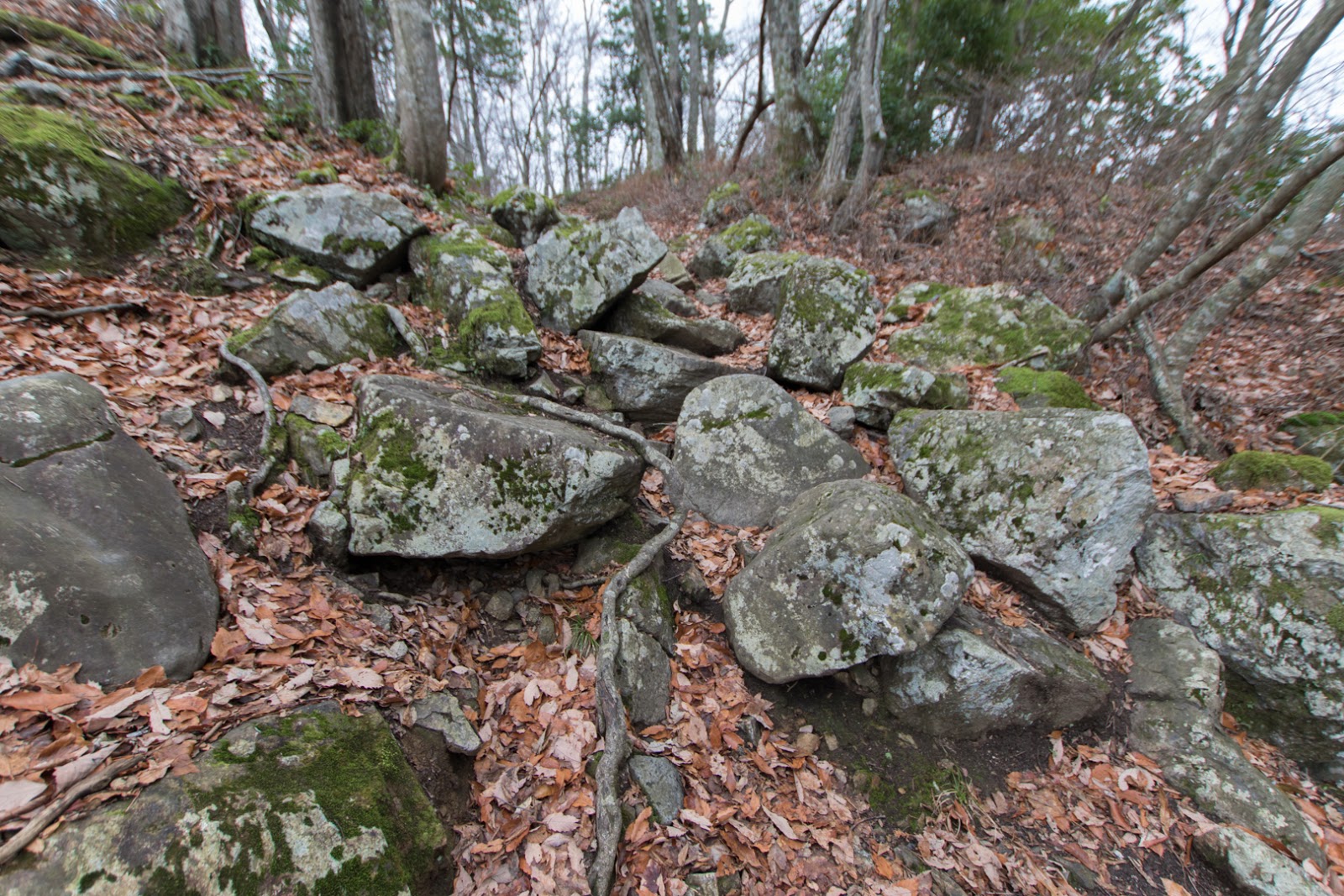 Odani Castle (2) -History of princess and three daughters of Azai clan ...