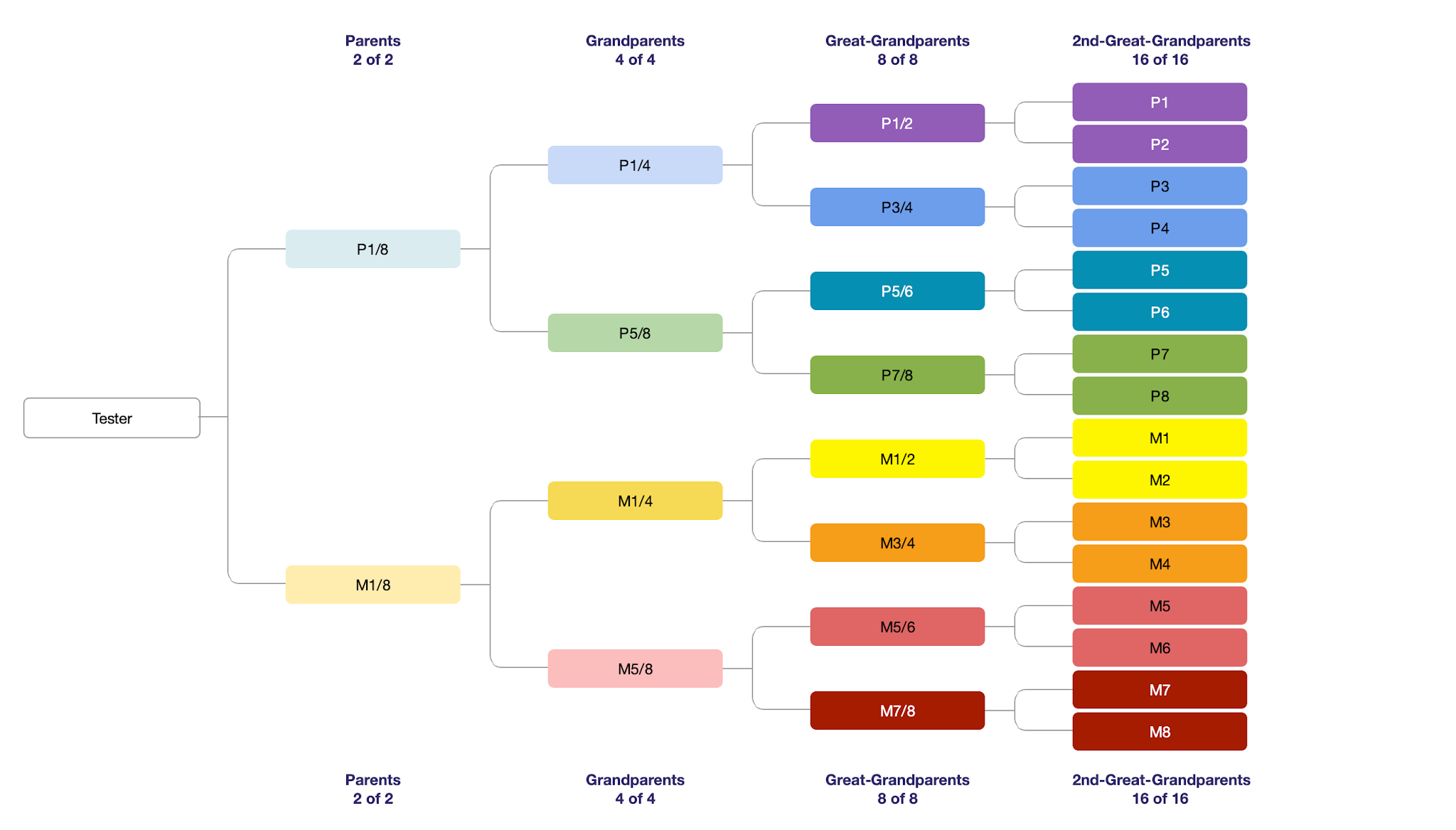 MODULE 2: Grouping your AncestryDNA matches - The Leeds Method and my ...