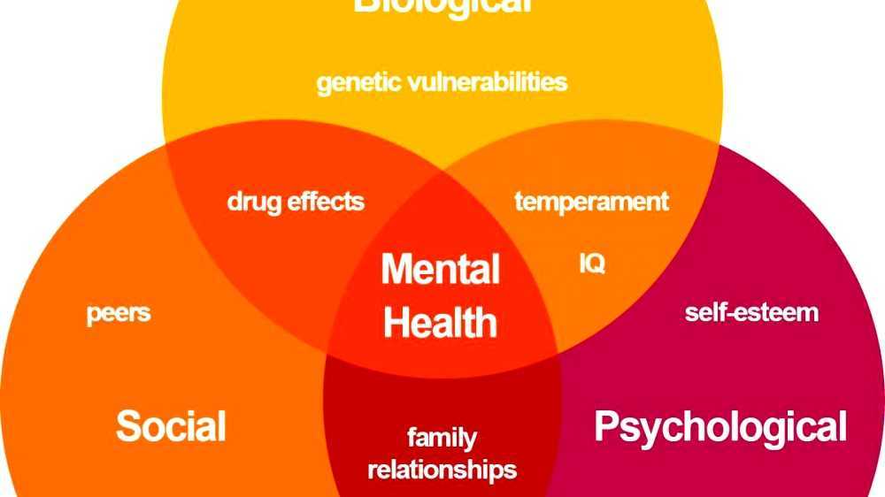 Causes of mental disorders