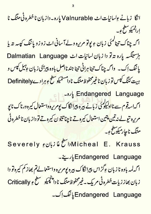 Brahui and Endangered Languages - Professor Saeed Lehri ~ Brahvi Time