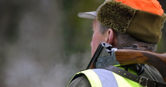 French wildlife and beekeeping: Hunting in France and the decline in ...