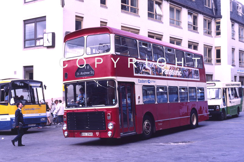 CALEDONIAN TRANSPORT PHOTOS-BUSES