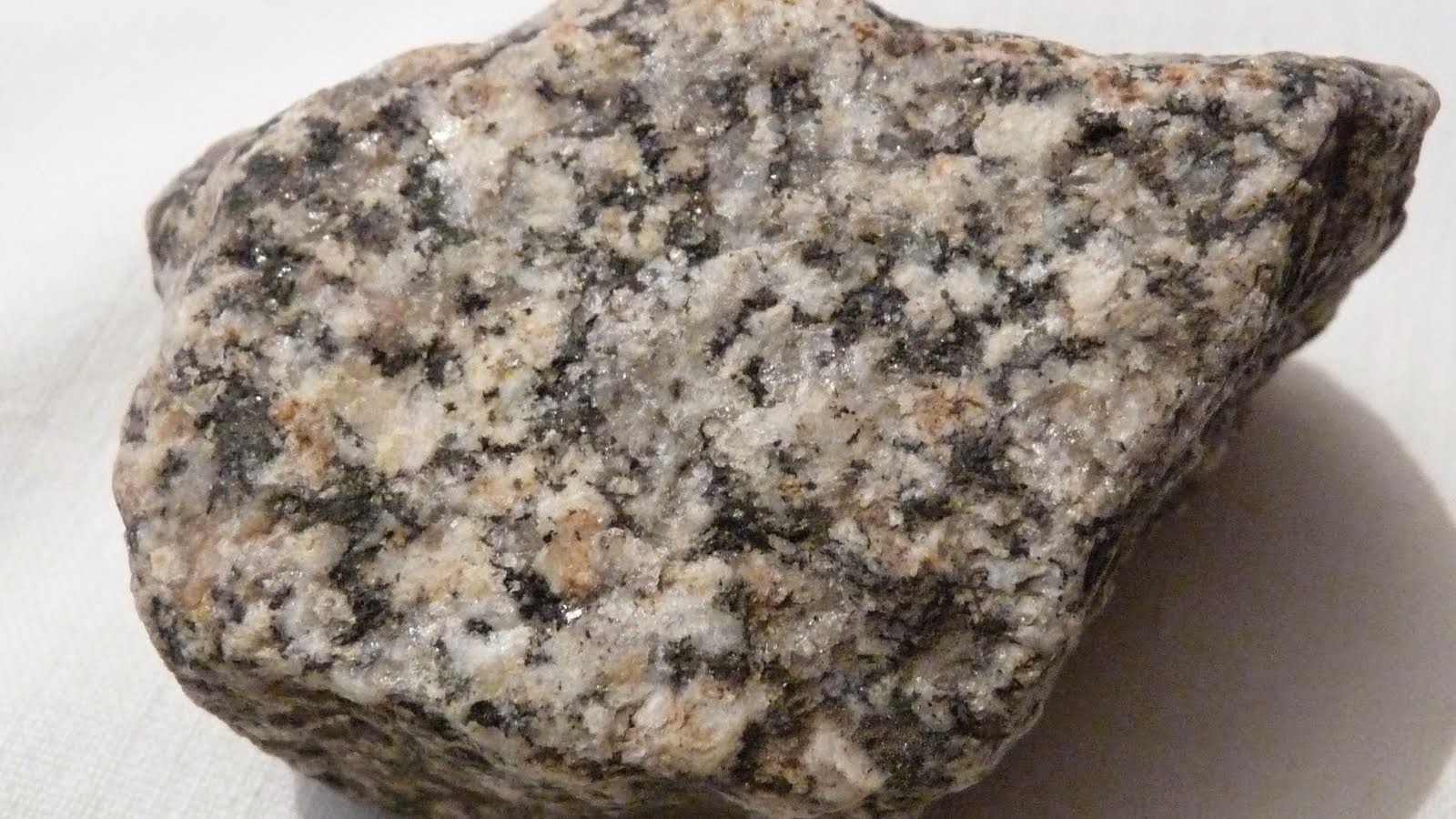 .:MEDICINA FLORAL HOY:. GABRIELA RICCIARDELLI: GOETHE - SOBRE EL ...