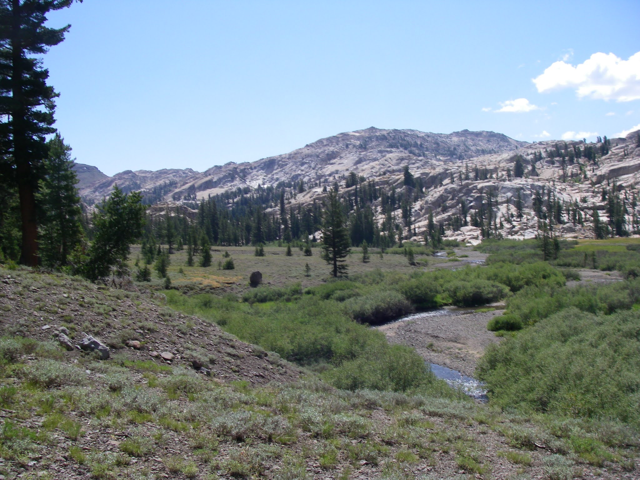 Trips, Flies and Fish: Emigrant Wilderness Adventure 2020