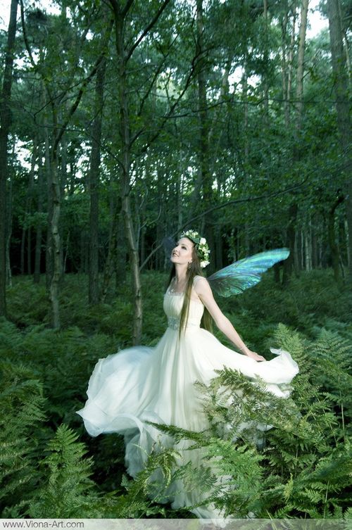 Baú de Pensamentos: Uma História de Fadas