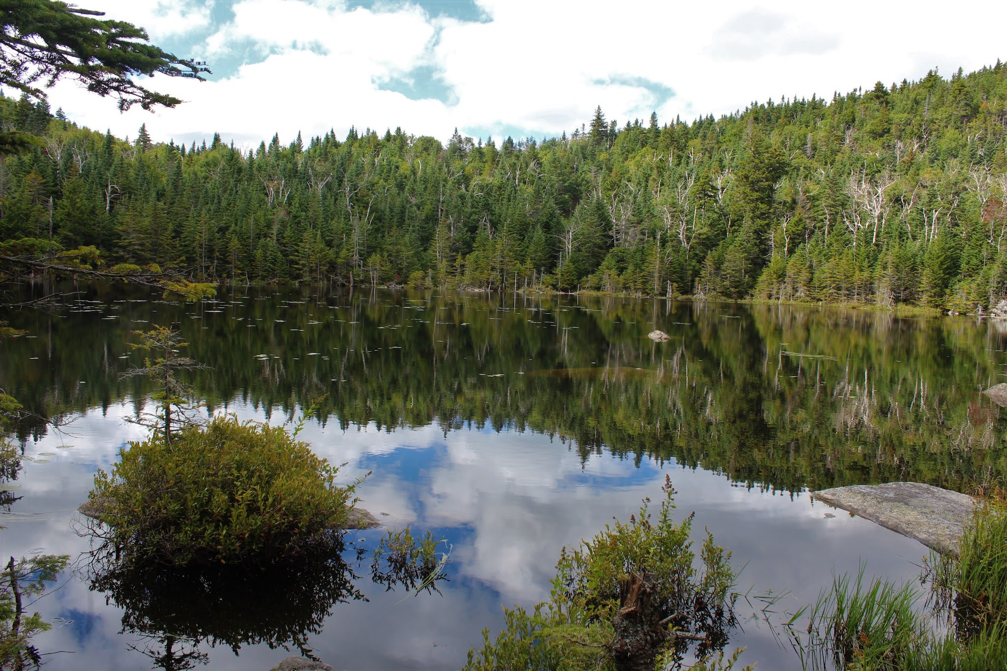 Walking Man 24 7: Cooper Kiln Pond & Morgan Mountain(Wilmington Wild ...