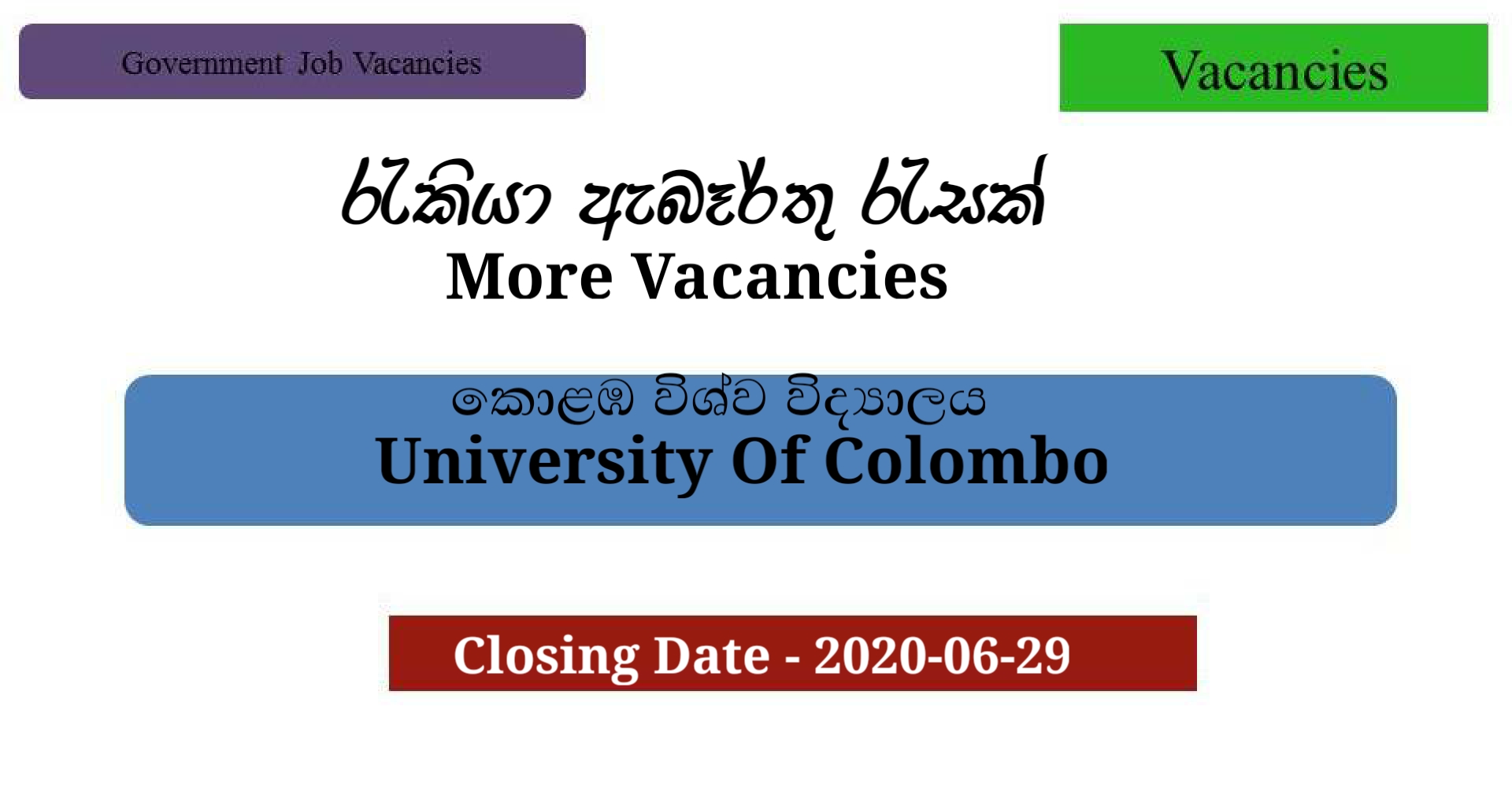 More Vacancies - University Of Colombo - SLDailyPlus