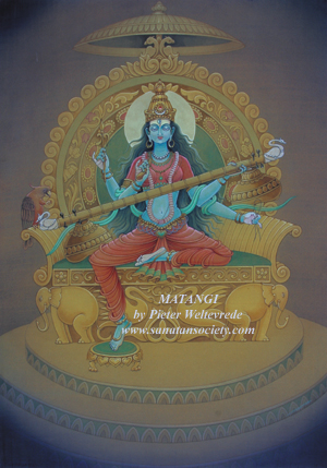 Hindu Gods & Goddesses In India - Hinduism: The Hindu goddess Matangi ...