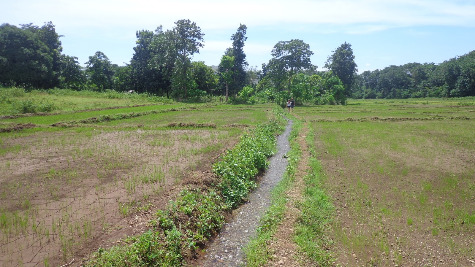 Meeting the Mangyans in Occidental Mindoro - The Wandering Juan