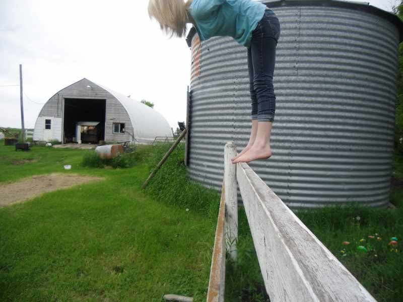 FeetXpress - A Dutch Foot Blog: Farm feet - part 2