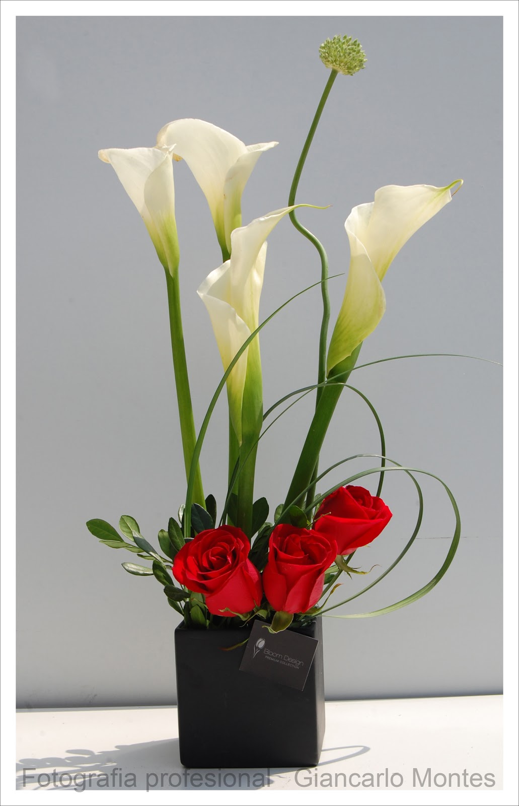 Arte quieto para mostrar el Movimiento: Floreria Bloom Design