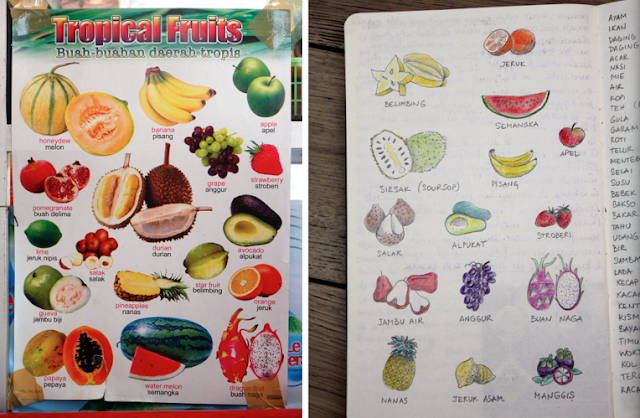 The morning glory is greener: 2015