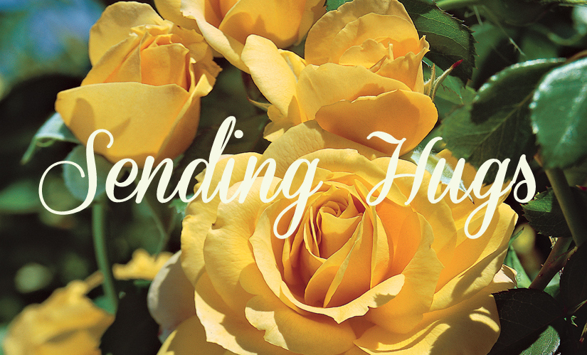 Sending Hugs: Hello Sunshine!