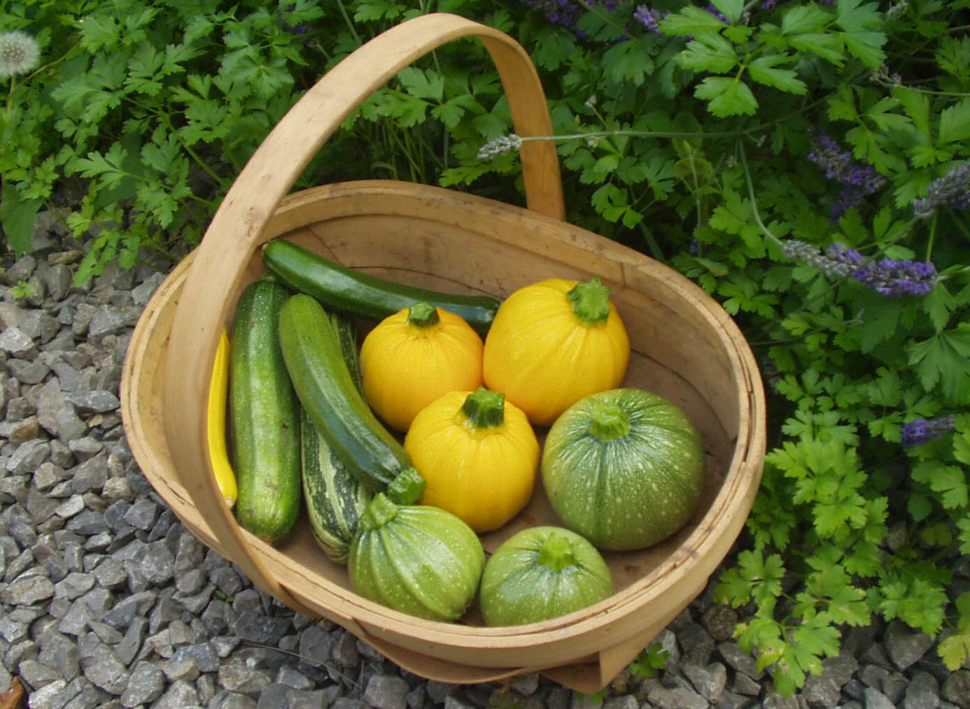 littleblackfox: Gluttony