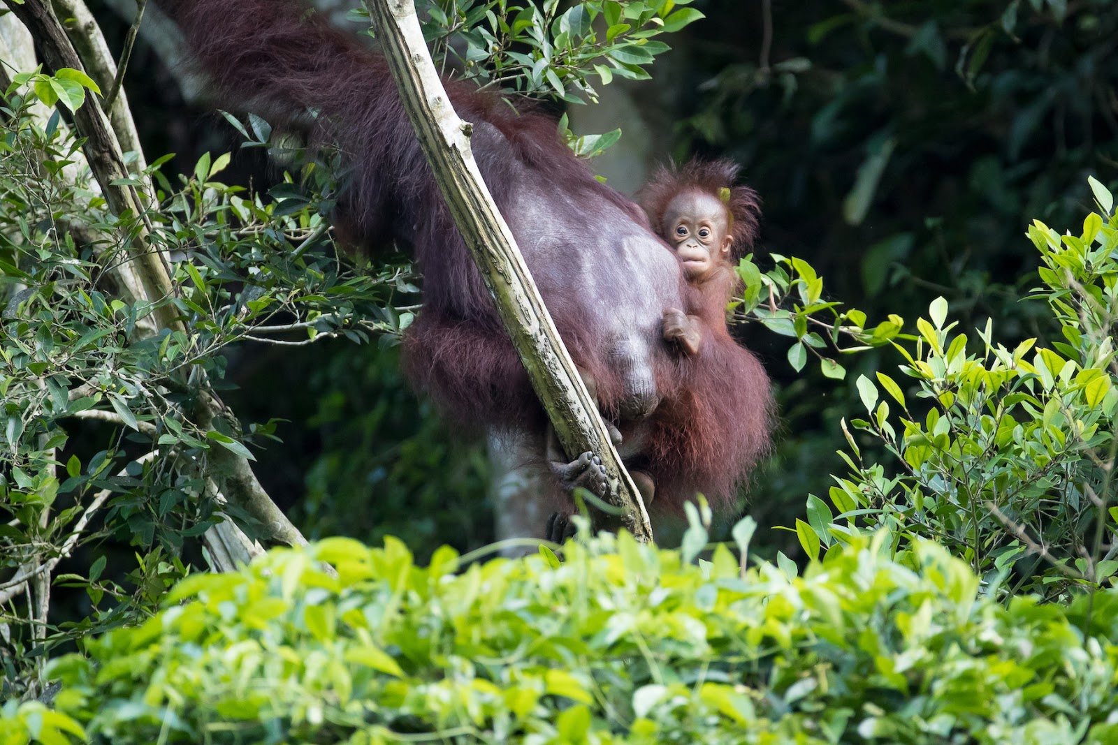 Where Hope Takes Root