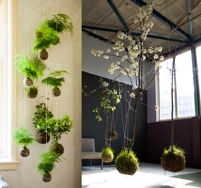 designing forty four: Kokedama Workshop