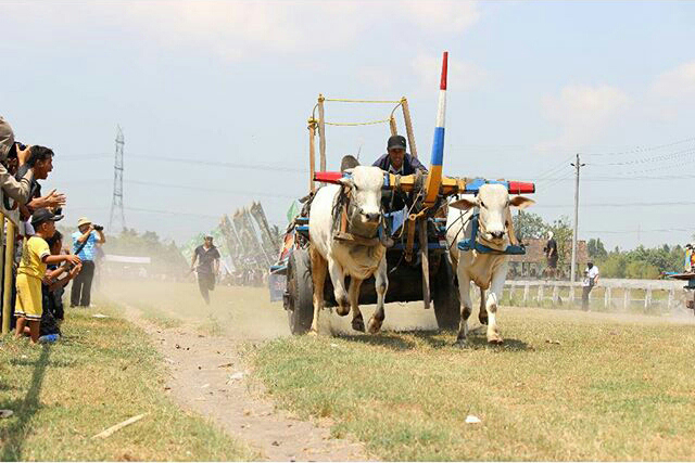 FESTIVAL GEROBAK SAPI: Festival Gerobak Sapi (FGS) 2015- PELANGI PERADABAN