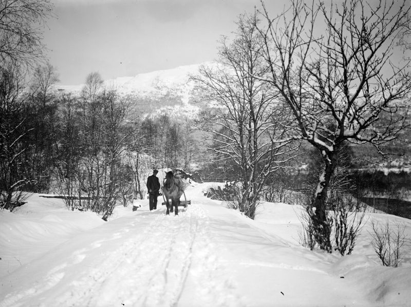 Small Town Life of Sunnfjord, Norway in the Early 20th Century Through ...