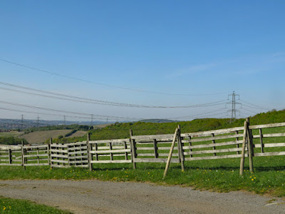 The Language of Stone: From Smallage Farm to Treeton