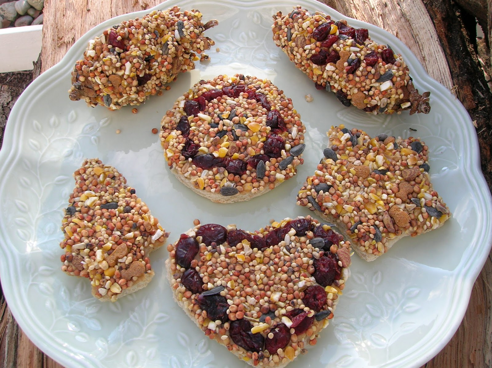 My Creative Mommy: Bird Seed Treats