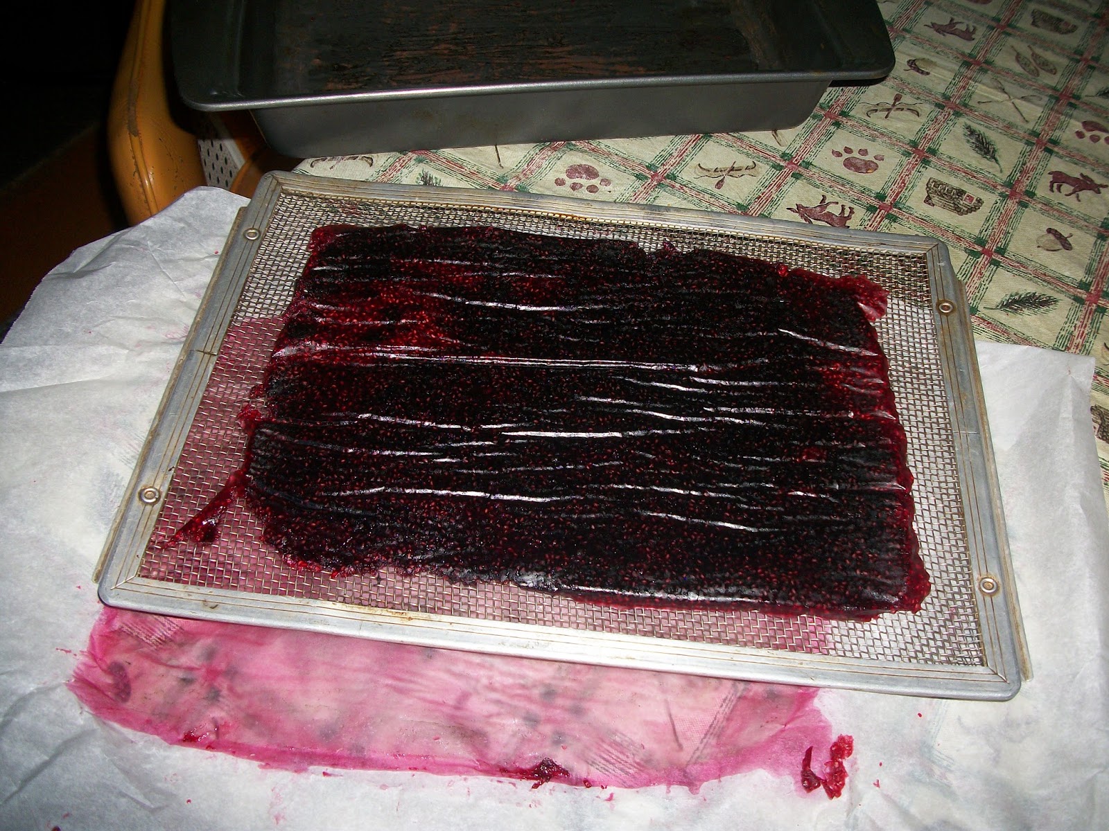 Poverty Prepping: Fruit Leather - successful experiment