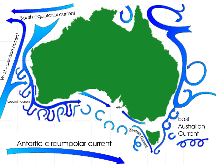 SA Marine Parks: South Australian Marine Biodiversity