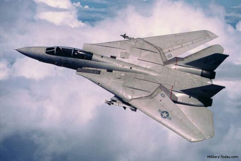 FDRA - Fuerza Aérea: WVRAAM: AIM-9G Sidewinder