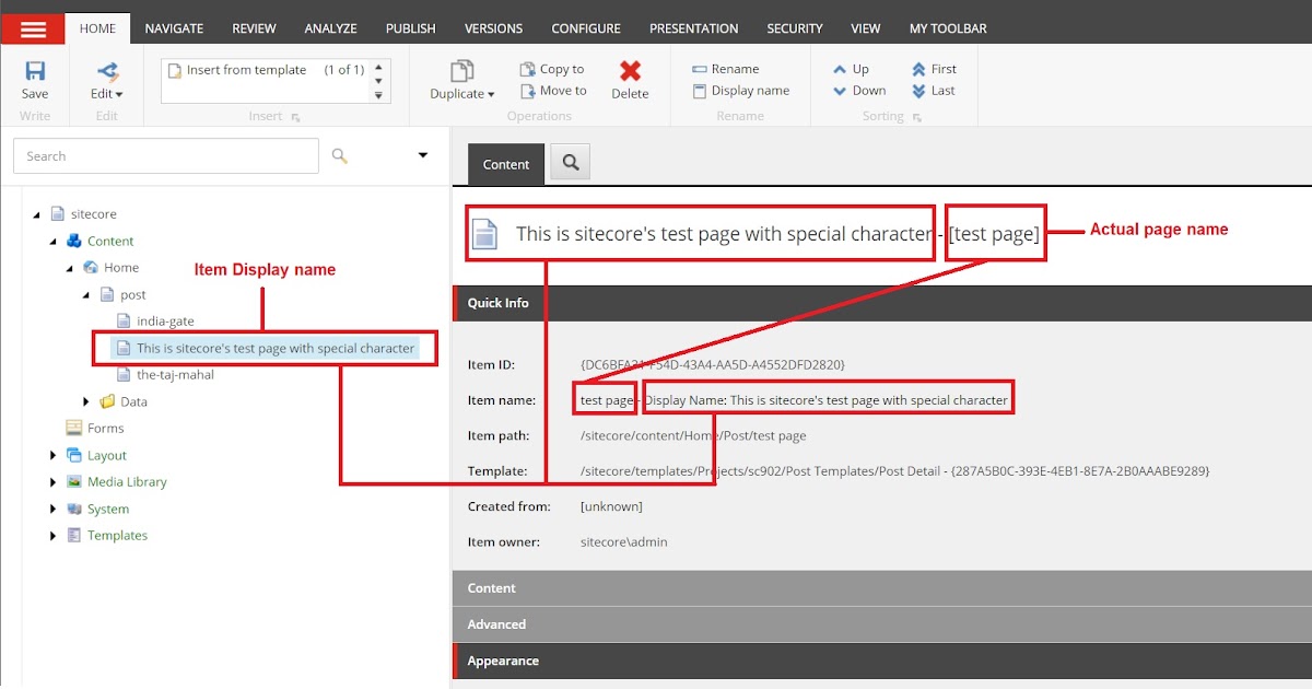 How to create dynamic language-specific URLs using Display Name in ...
