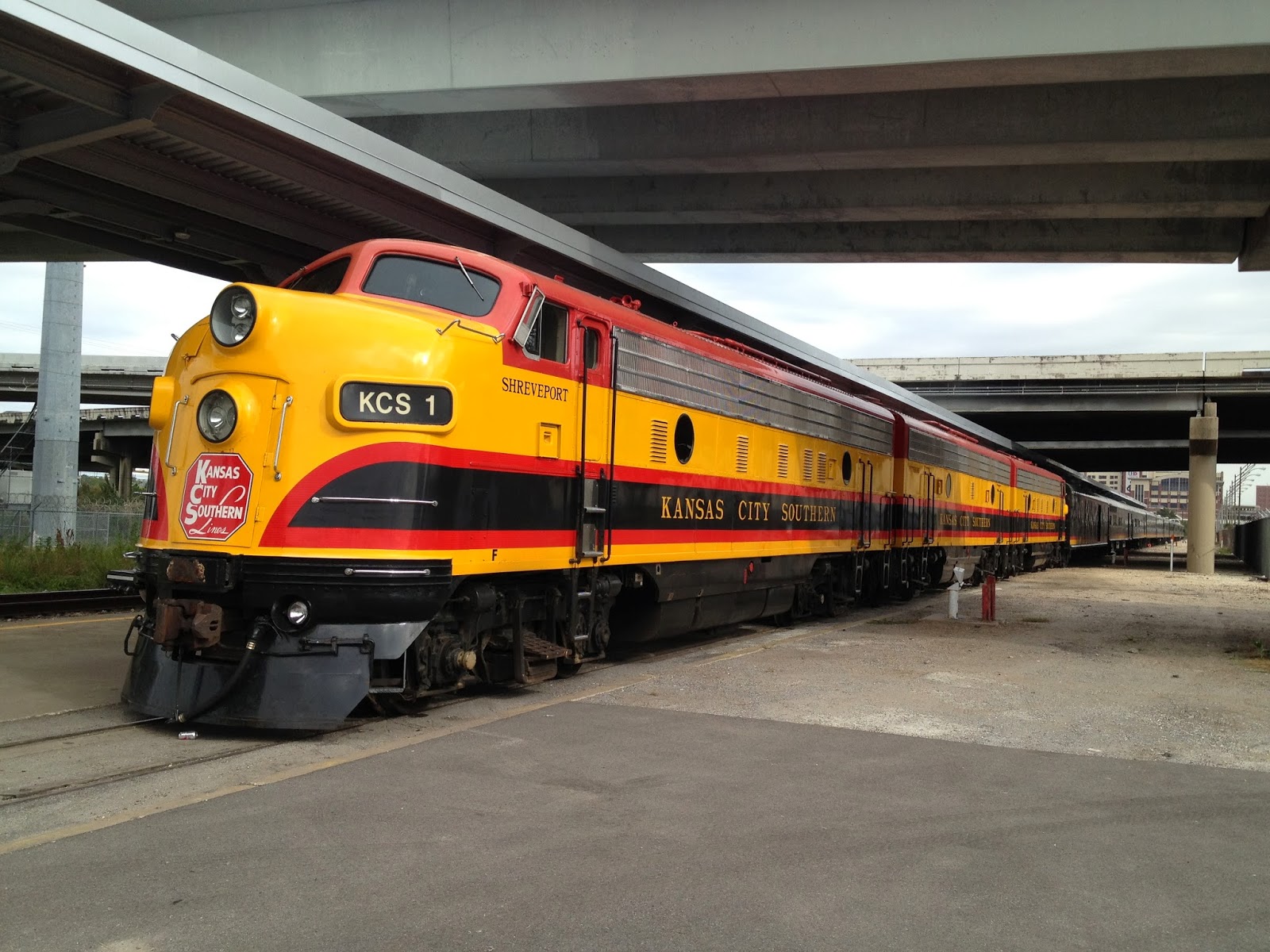 Mean Green Cougar Red: The KCS Southern Belle
