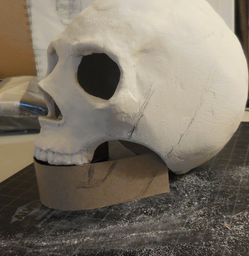 Creative Paperclay® air dry modeling material: Simplified Skull Model ...