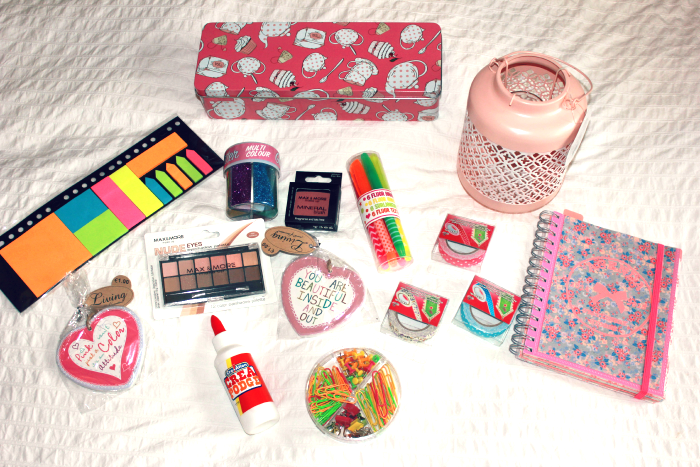 Back To School Haul ♡ (Action & Hema) | Eline Blaise