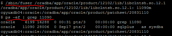 ORACLE DATABASE
