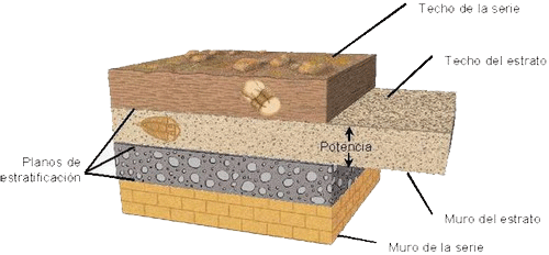 CRITERIOS DE POLARIDAD DE LOS ESTRATOS
