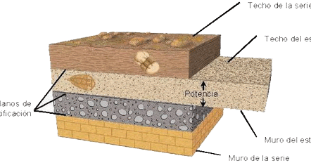 CRITERIOS DE POLARIDAD DE LOS ESTRATOS