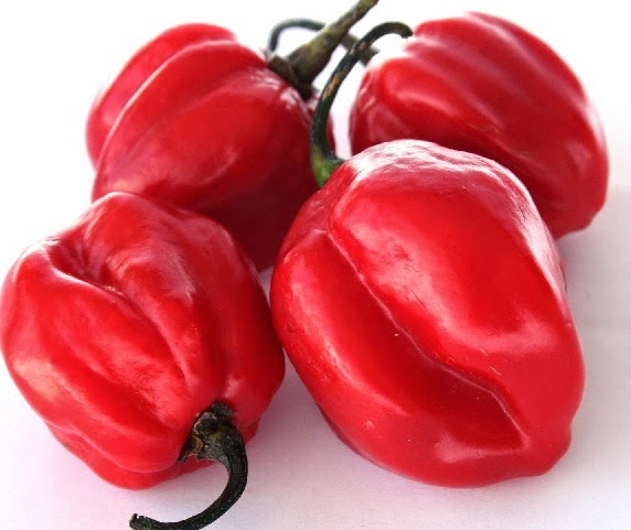 CUATRO BENEFICIOS DEL ROCOTO, EN LA SALUD : FRUTAS VERDURAS BENEFICIOS ...