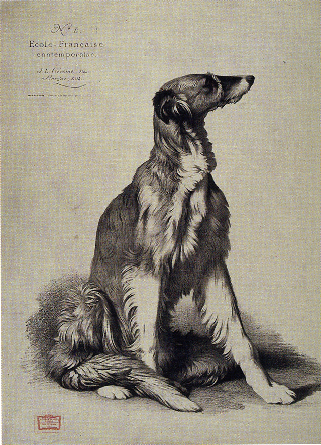 The Classical Pulse: Bargue Drawing Course, Part 2c