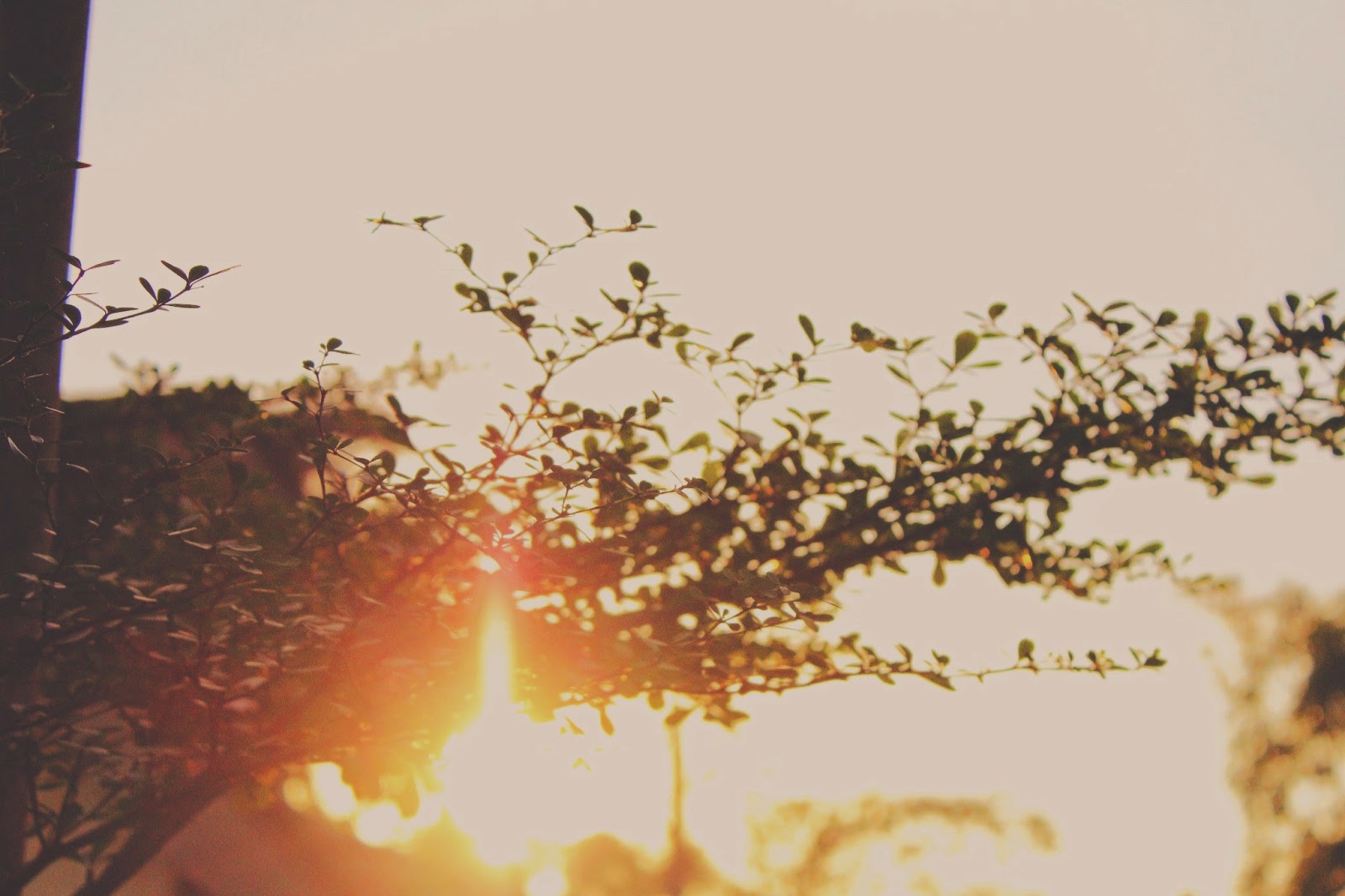 LUMINNEJ | Malaysian Lifestyle & Beauty | Lifestyle Illuminated: The ...