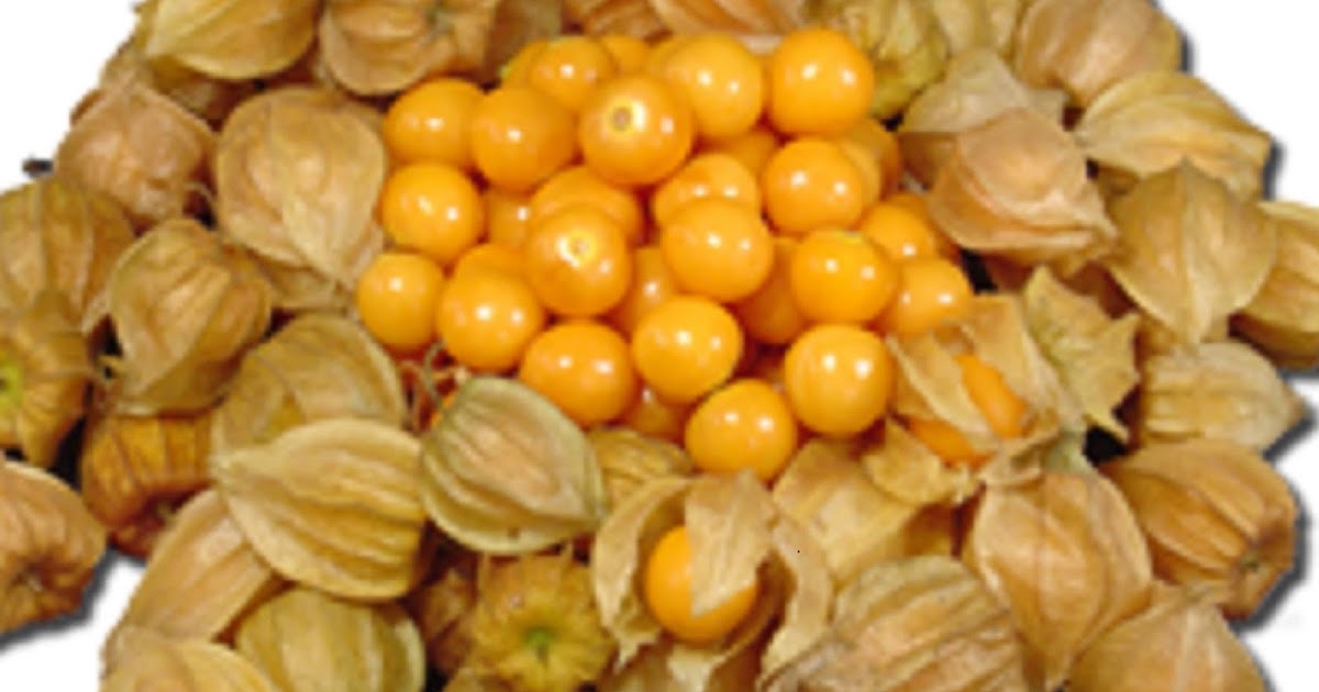 Recetas Saludables con Vegetales: UCHUVA