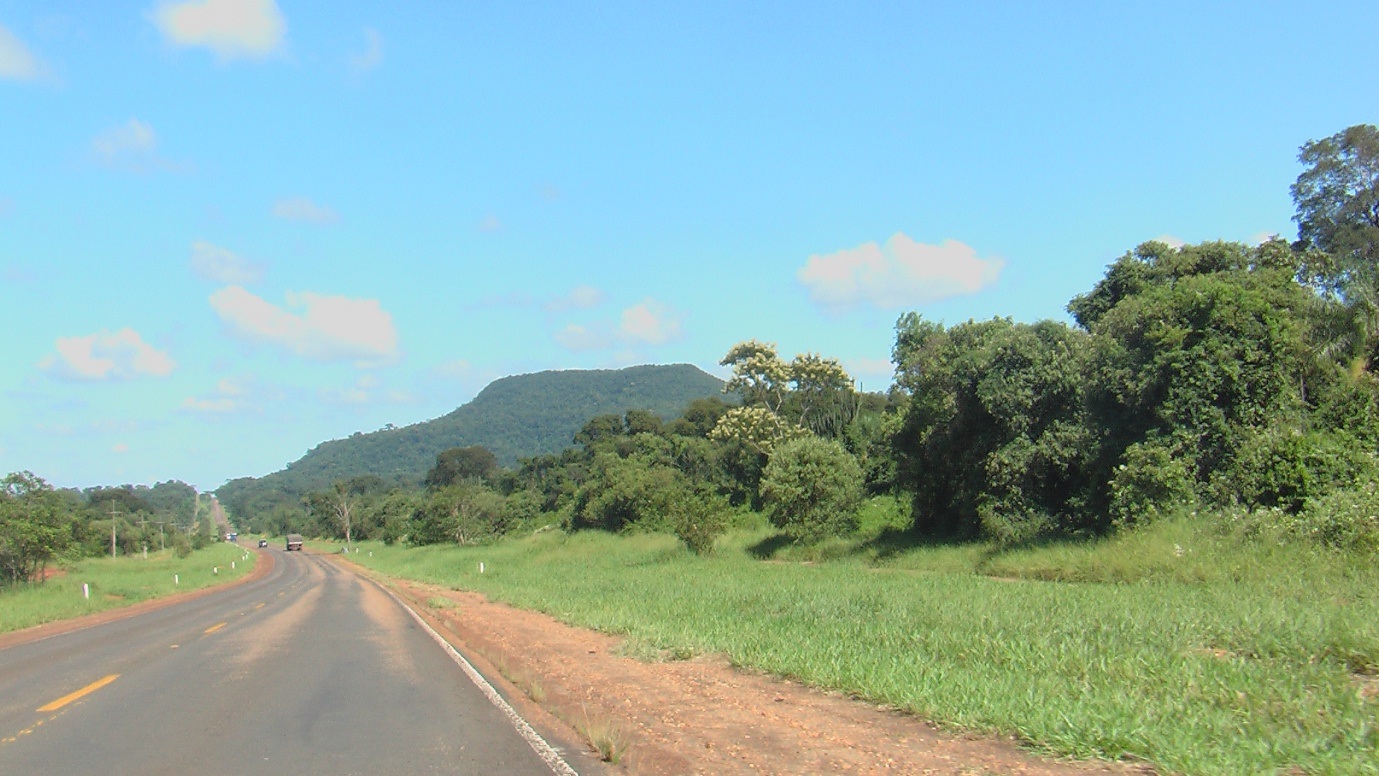 Parque Estadual do Morro do Diabo: Projeto “Revitalizar a Trilha do ...