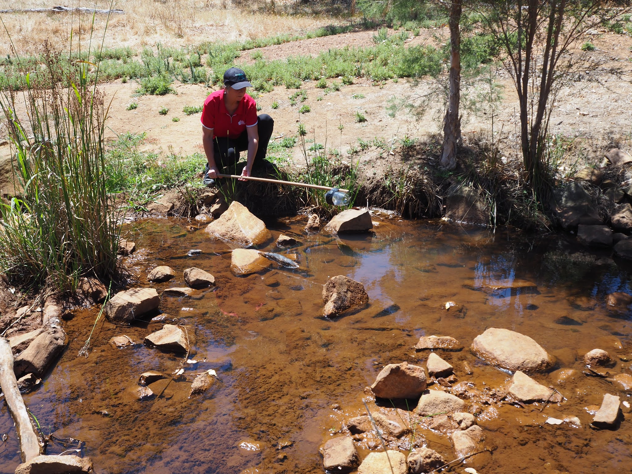 Field Water Sampling
