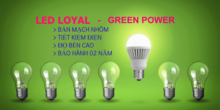 LED LOYAL