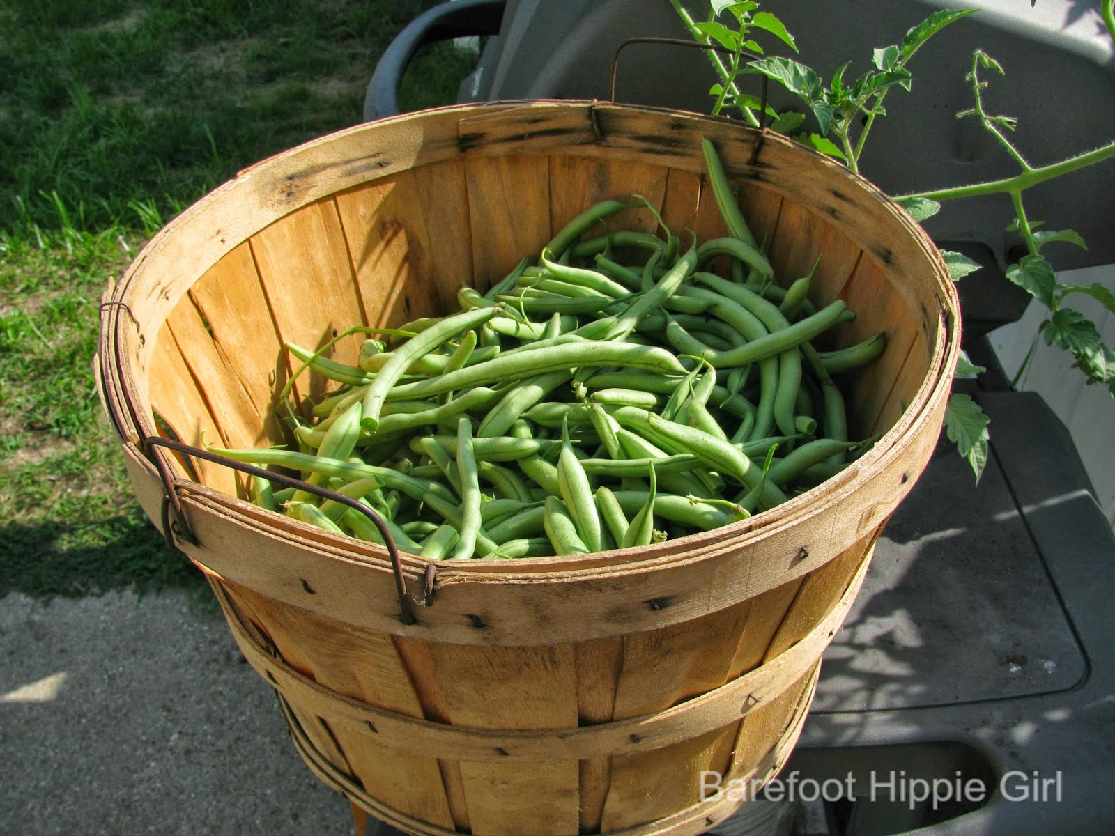 Leave a Reply Cancel reply