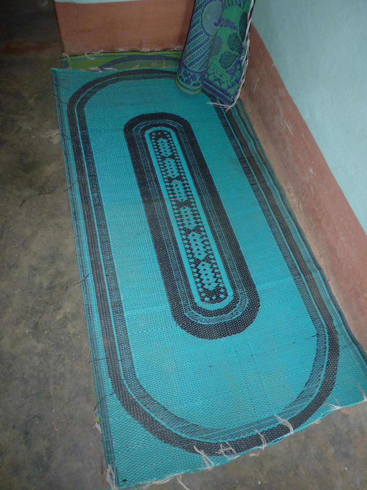 Cass and Carolyn in the Peace Corps: Chapter 8: Malian Inventions We Love!