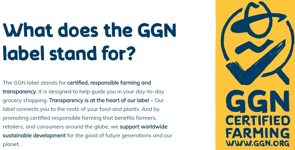 Commelinaceae Research: 2021