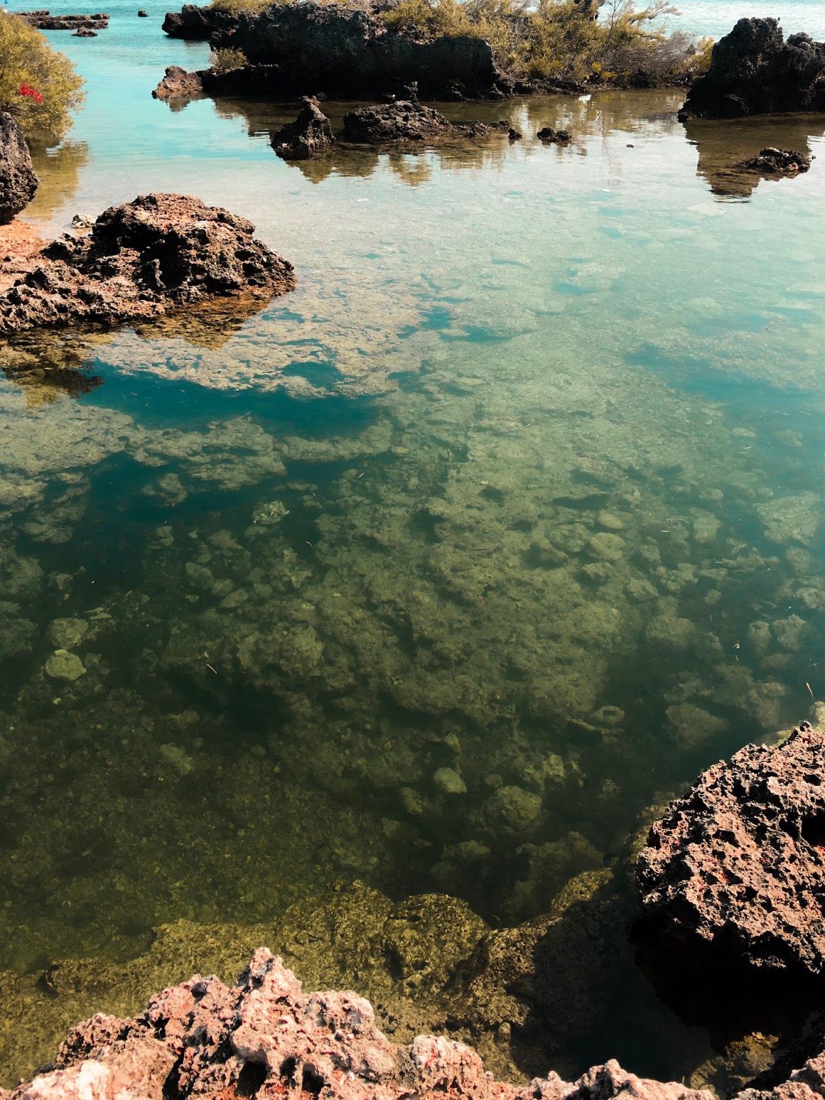 Immuki Island: New Gem in La Union, Philippines - THE DAPPER MEMOIRIST