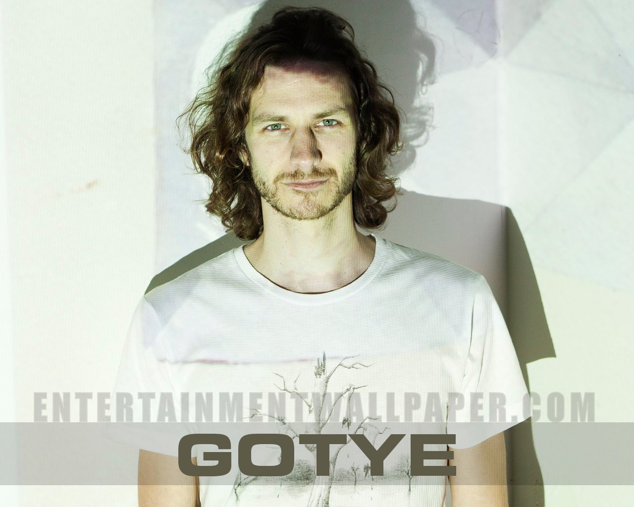 My dirty music corner: GOTYE